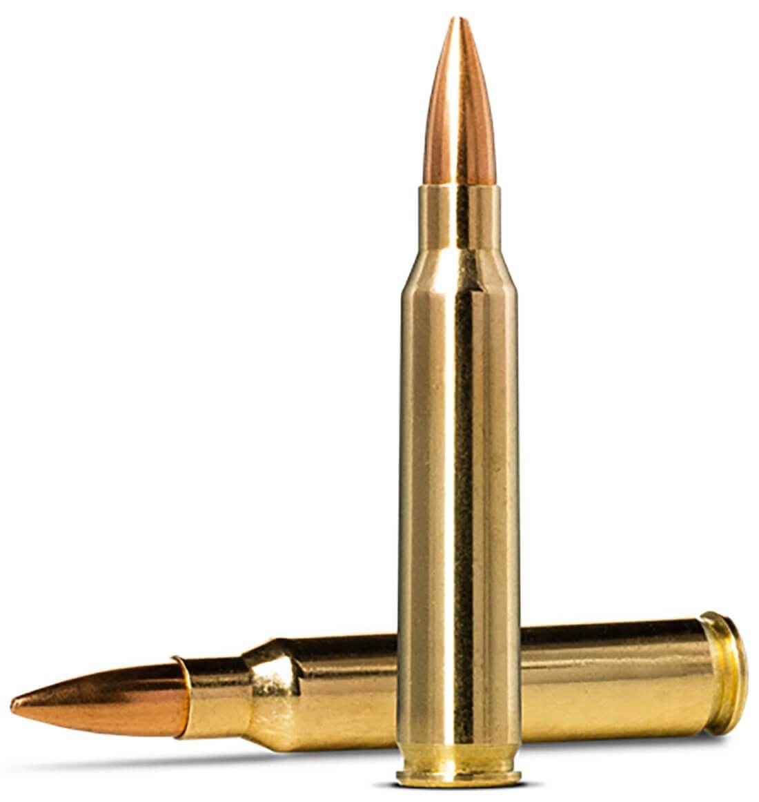 Norma Ammunition 10157692 Dedicated Precision Golden Target Match 223 ...